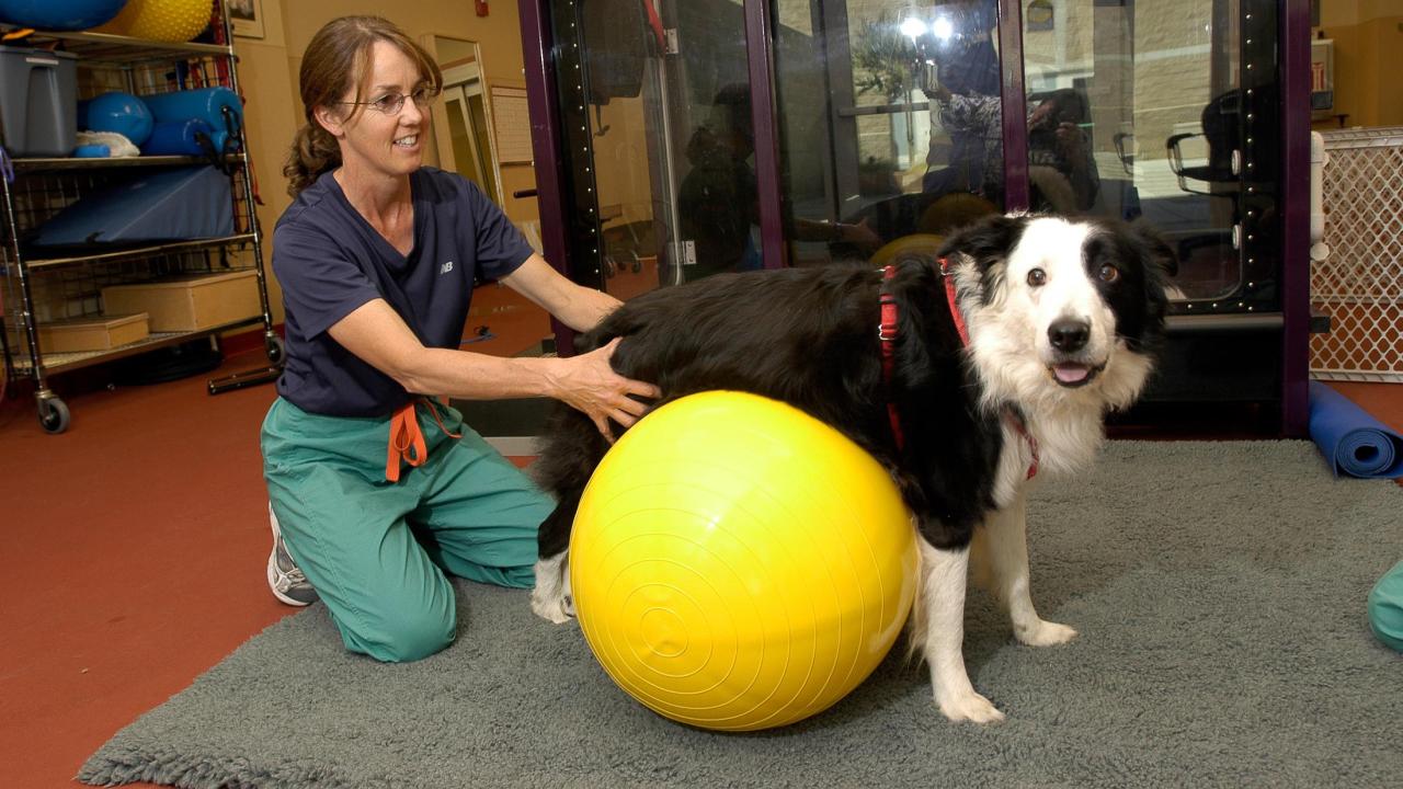 2024 CCRV CE Course | Center for Continuing Professional Education (CCPE)